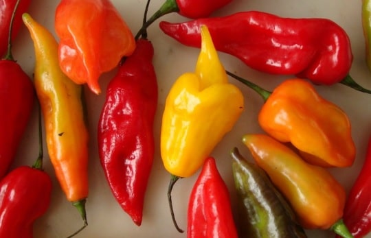 Salsa o Sarza Criolla de cebolla ? Prepara esta receta AQUÍ